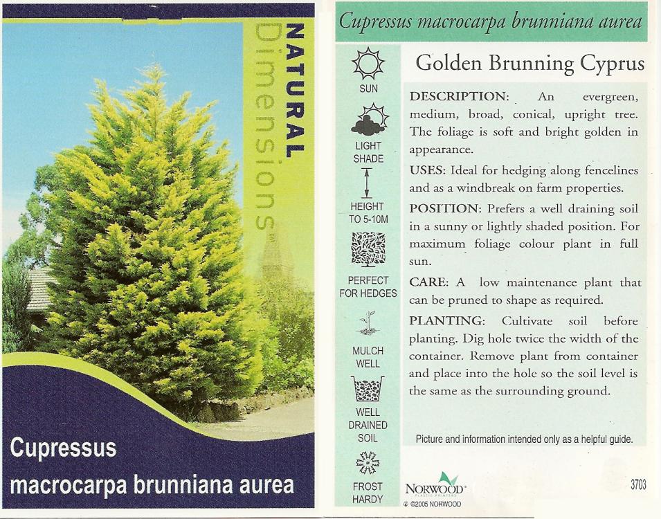 Ornamentals - Features