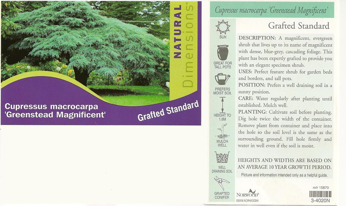 Ornamentals - Features