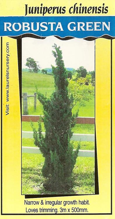 Ornamentals - Features