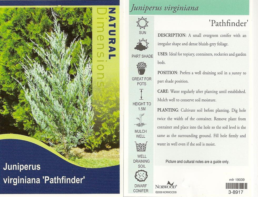 Ornamentals - Features