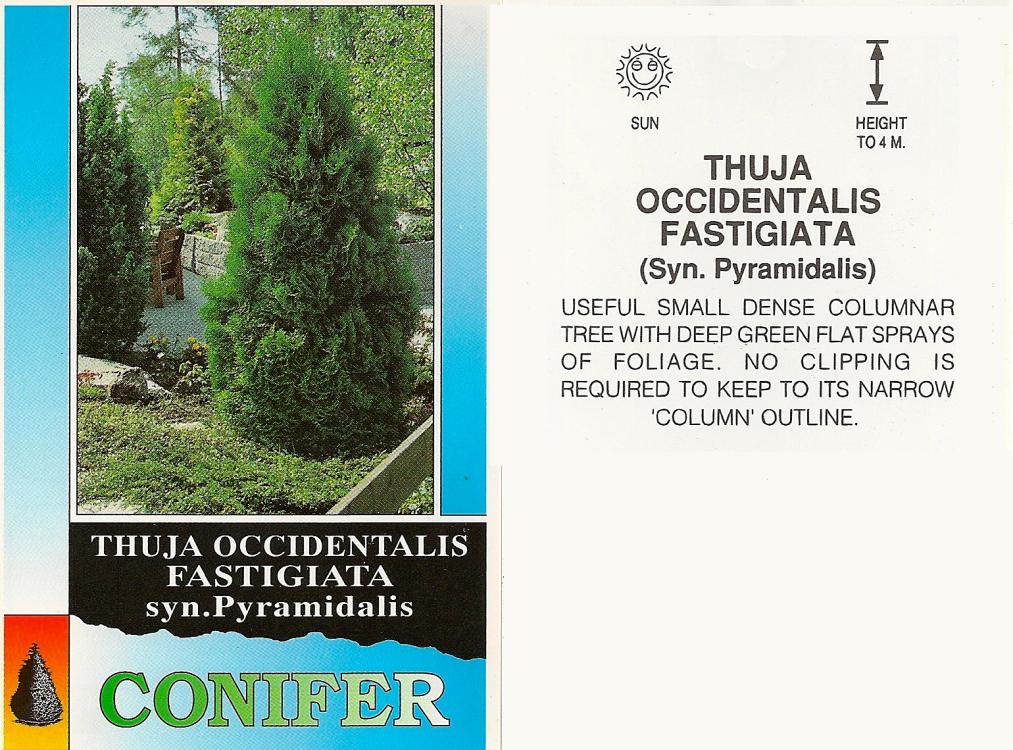 Ornamentals - Features