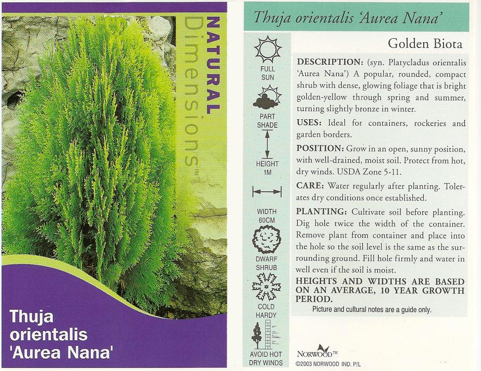 Ornamentals - Features