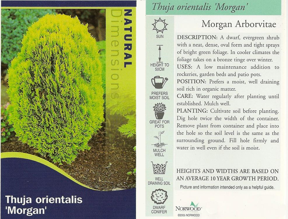 Ornamentals - Features