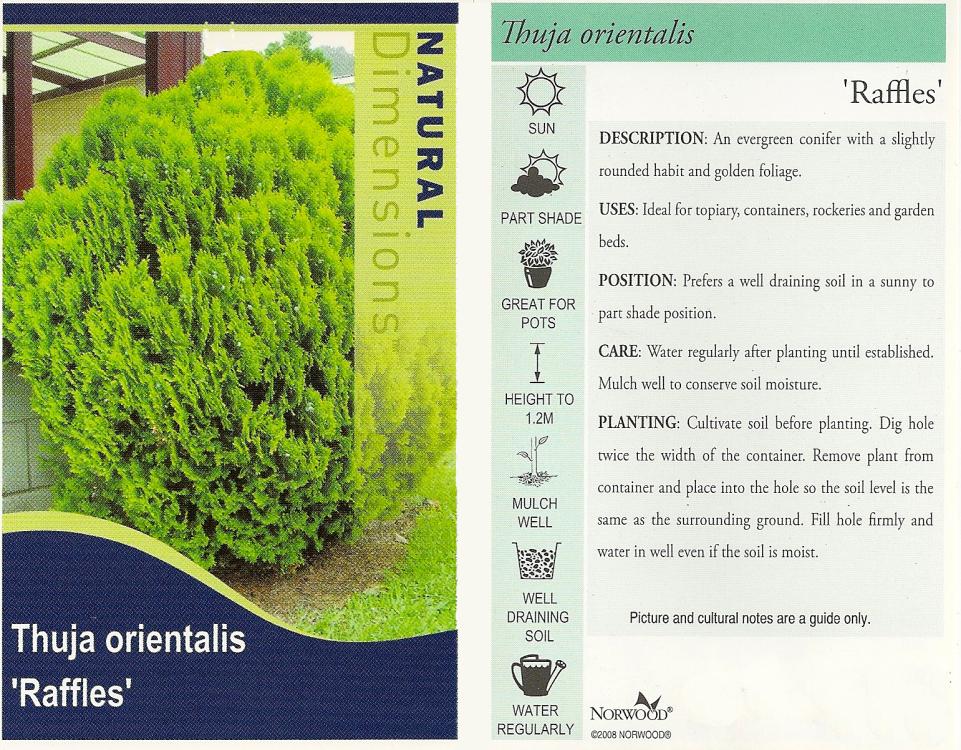 Ornamentals - Features