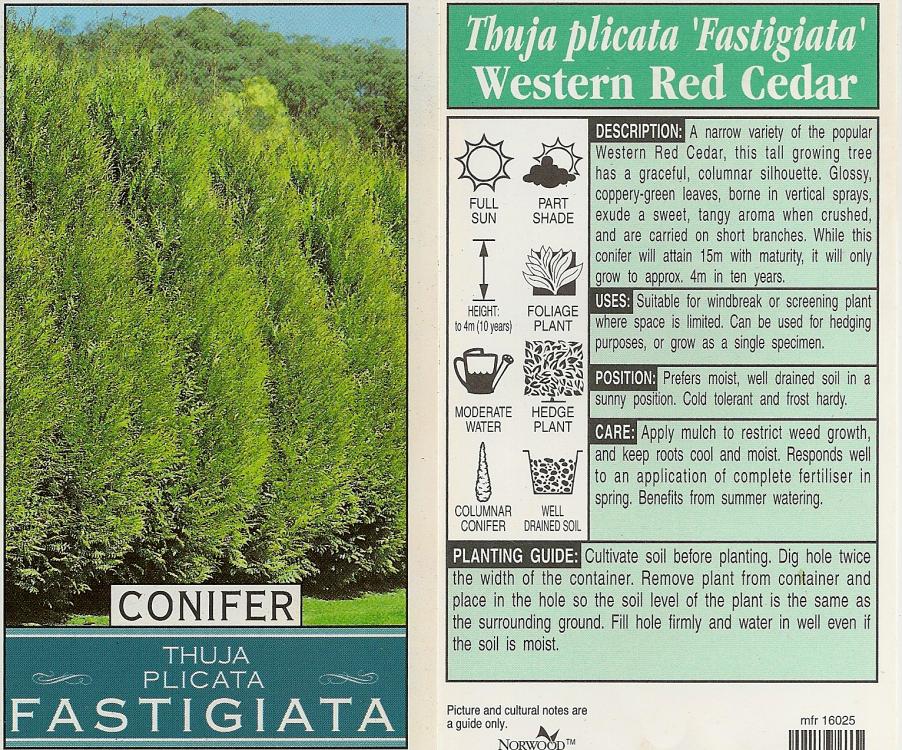 Ornamentals - Features