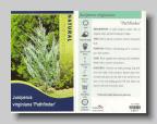 Ornamentals - Features